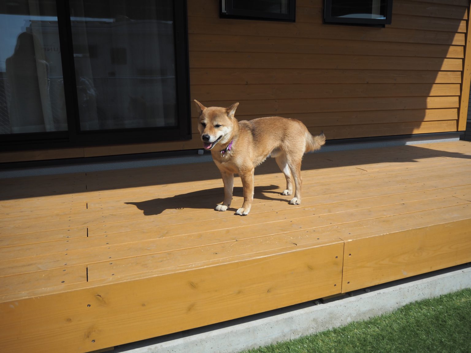 幸手市I様邸｜BinO｜COVACO ｜建築事例｜テクノホームが手掛けた建築事例を分かりやすくご紹介しています